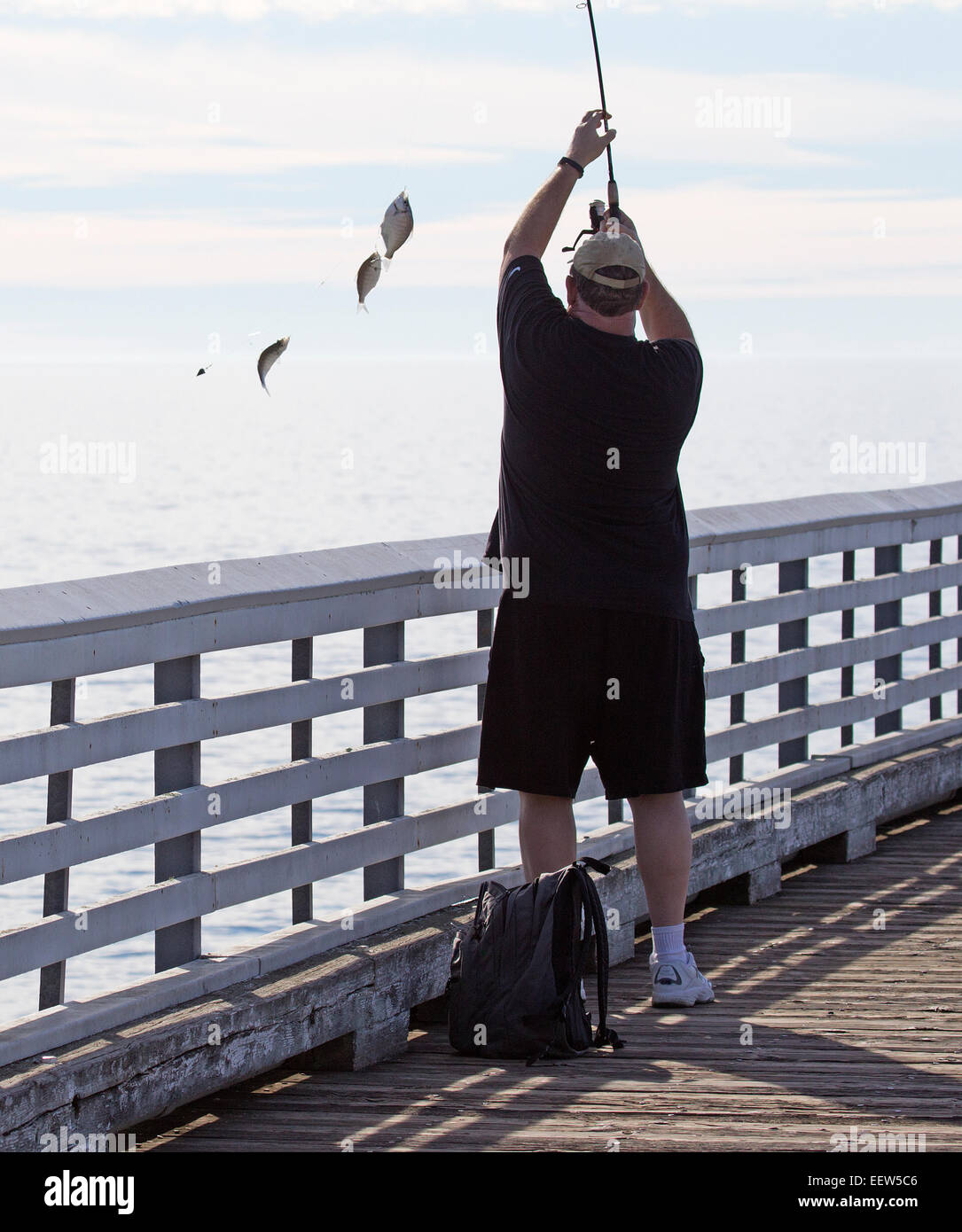 Trifecta hi-res stock photography and images - Alamy