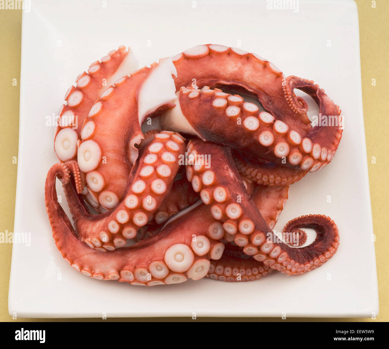 Raw octopus tentacles Stock Photo - Alamy