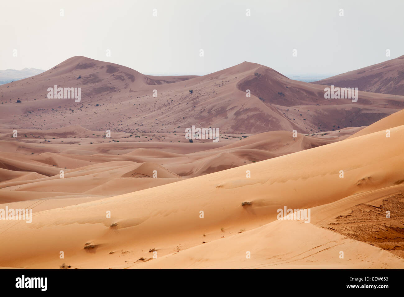 Arabian Peninsula Desert