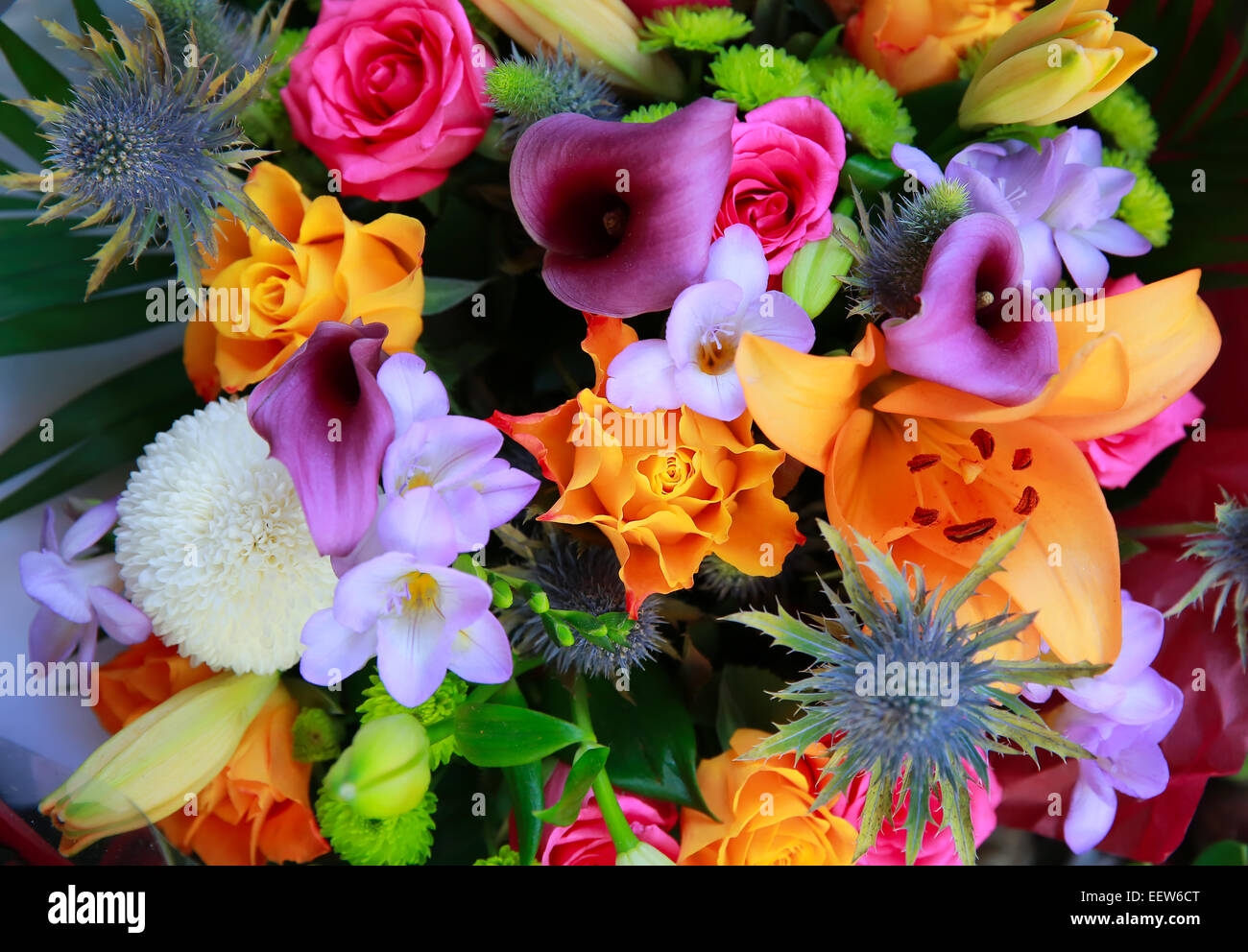 Bouquet of beautiful flowers Stock Photo - Alamy