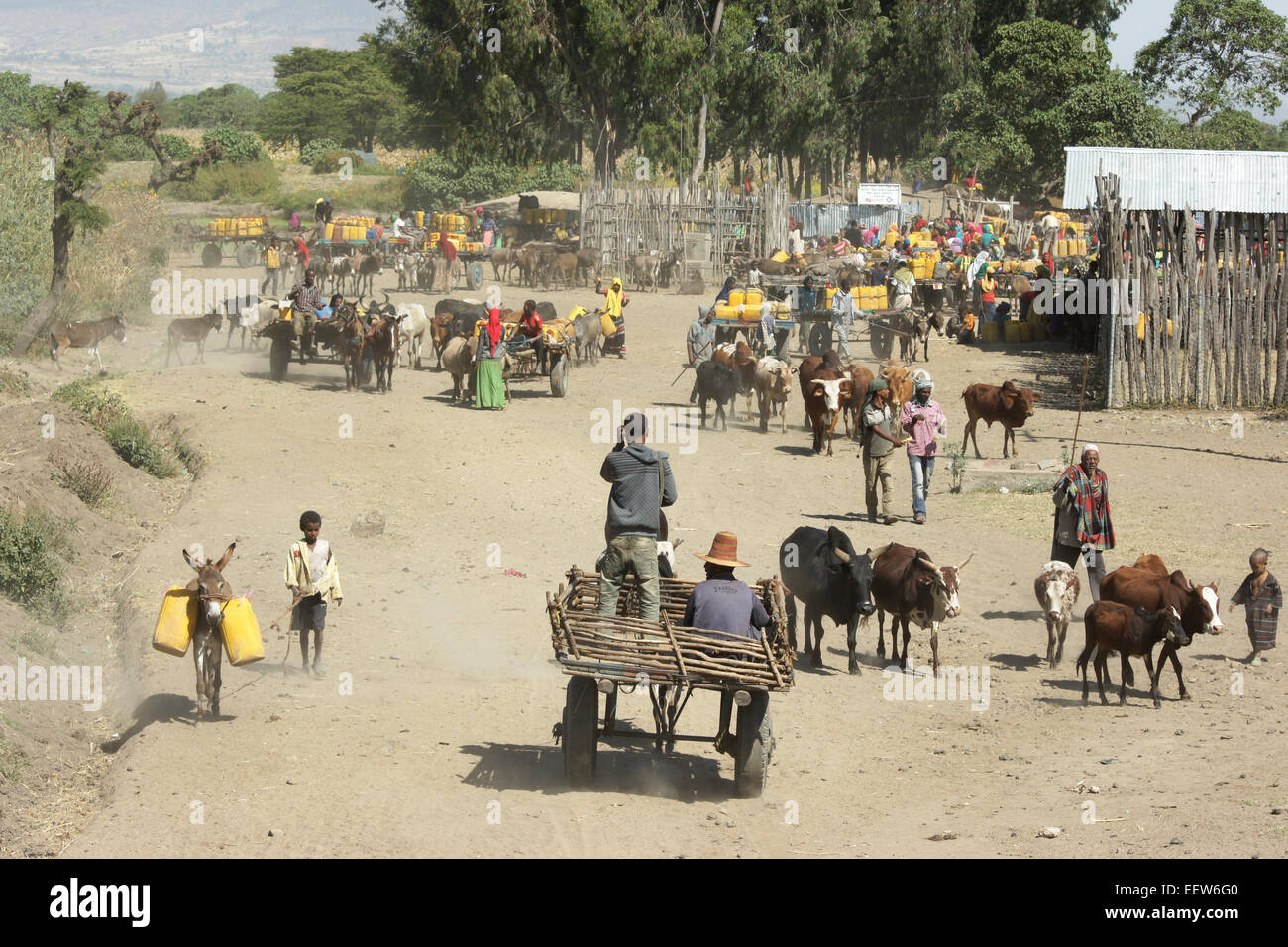 GREAT RIFT VALLEY, ETHIOPIA - NOVEMBER 16, 2014: People providing ...