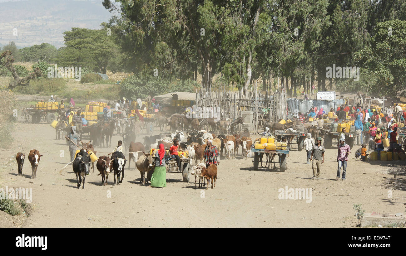 GREAT RIFT VALLEY, ETHIOPIA - NOVEMBER 16, 2014: People providing ...