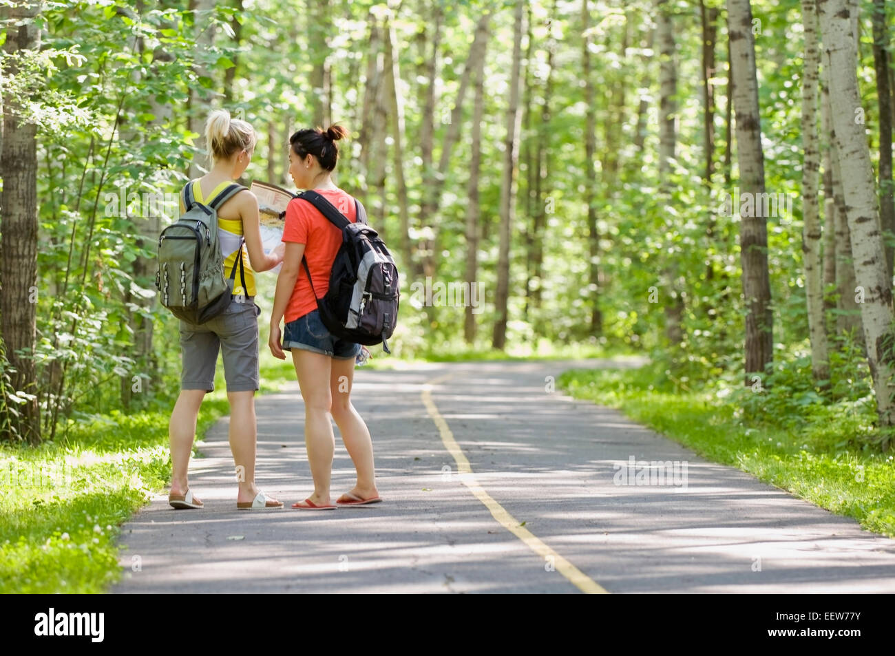 Two girl friends standing on a bike path in the forest and looking at a ...