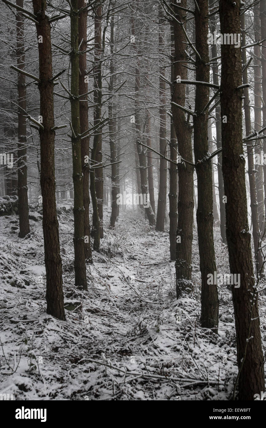 Winter snow covered landscape in Yorkshire Stock Photo - Alamy