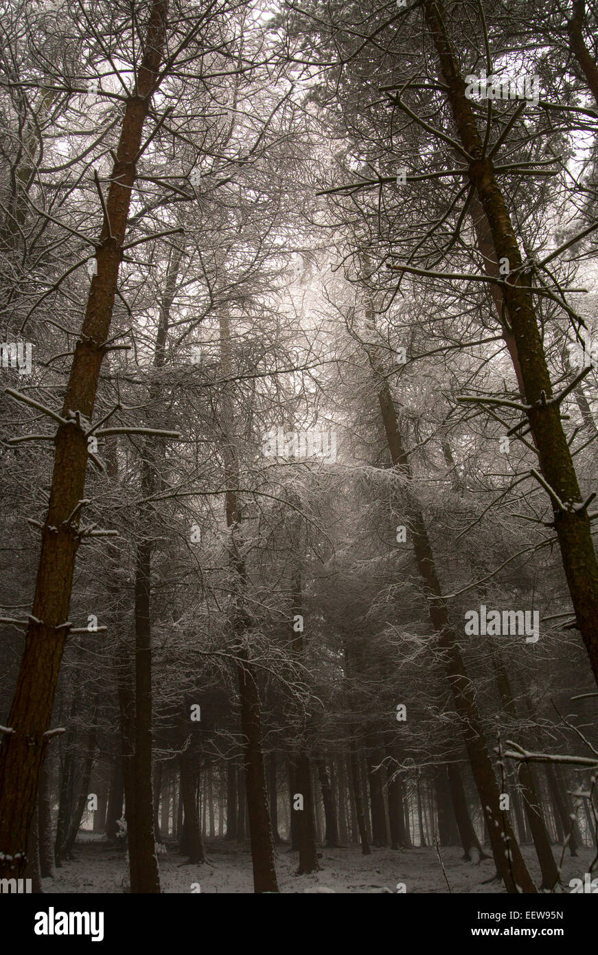 Mist and snow north yorkshire hi-res stock photography and images - Alamy
