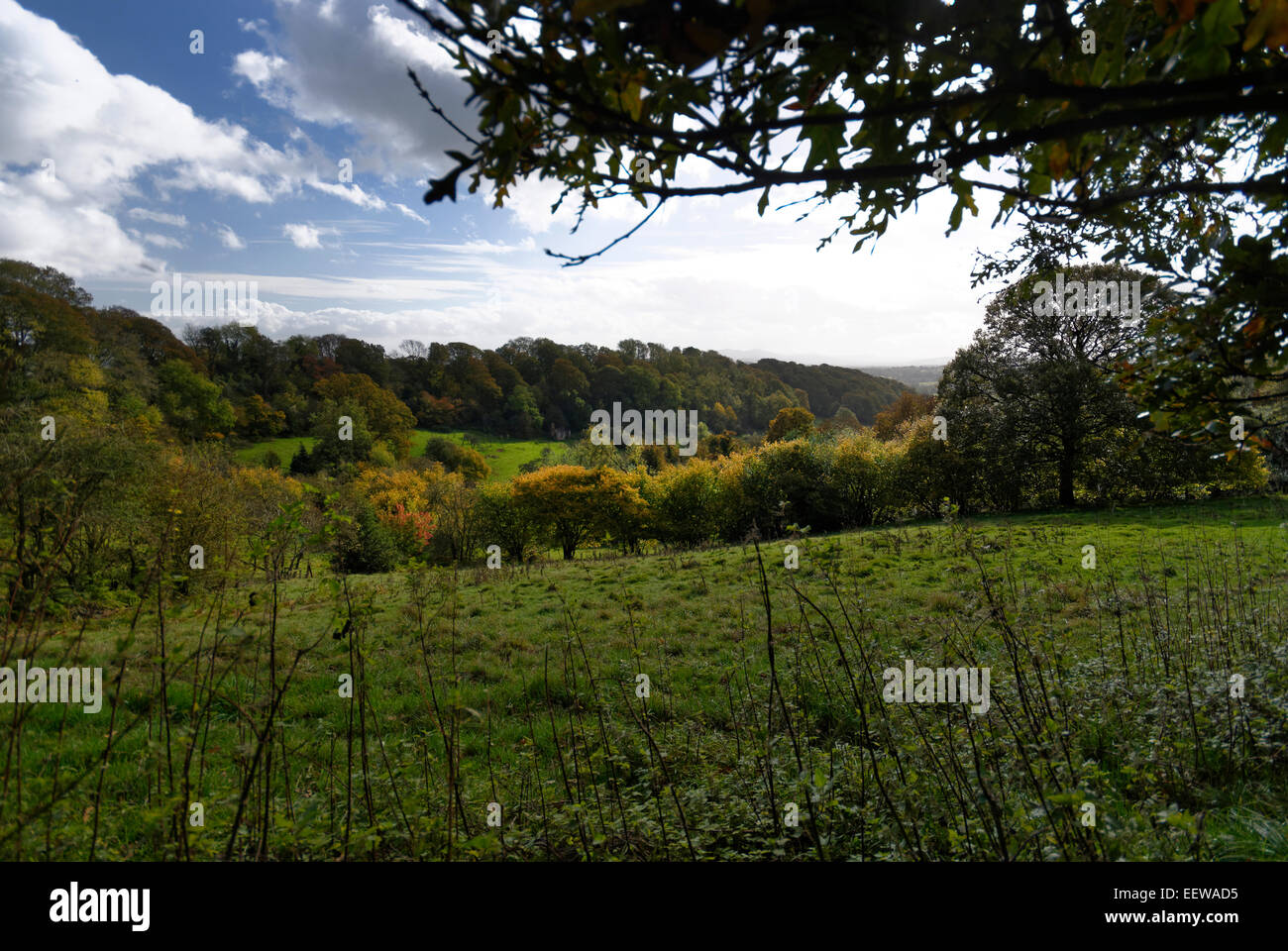 Pastoral scenes hi-res stock photography and images - Alamy