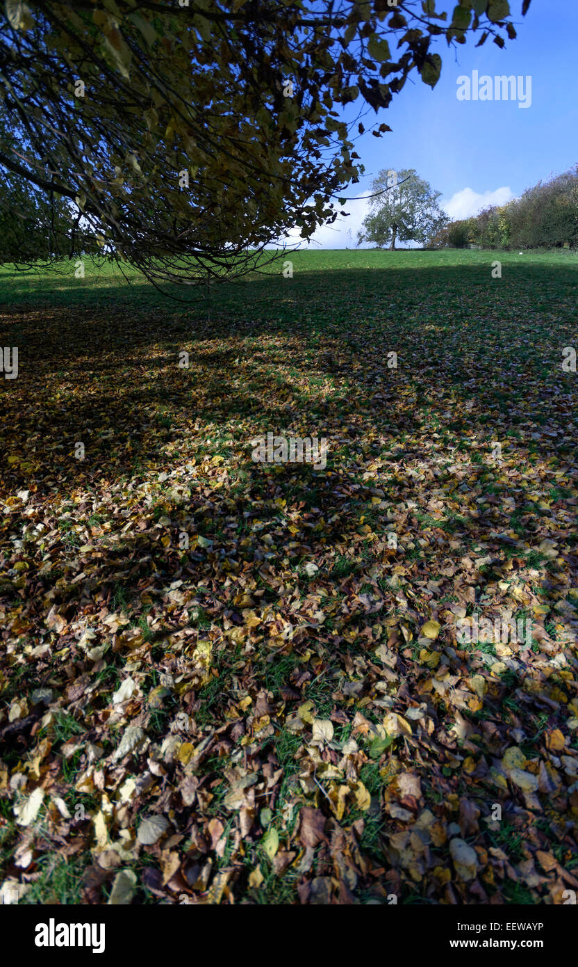 Pastoral scenes hi-res stock photography and images - Alamy