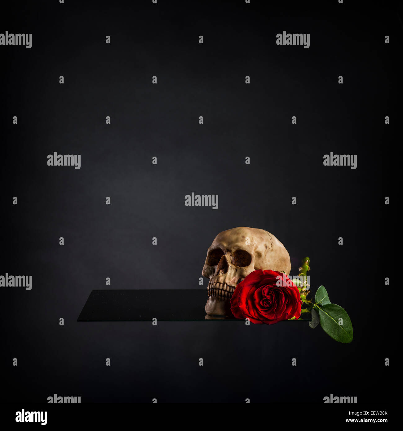 Pirate skull in red hi-res stock photography and images - Alamy
