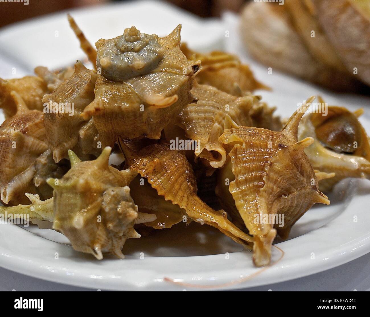 A plate of steamed conch (mediterranean murex Stock Photo - Alamy