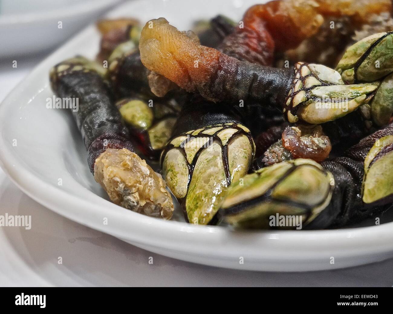 A plate of barnacles Stock Photo - Alamy