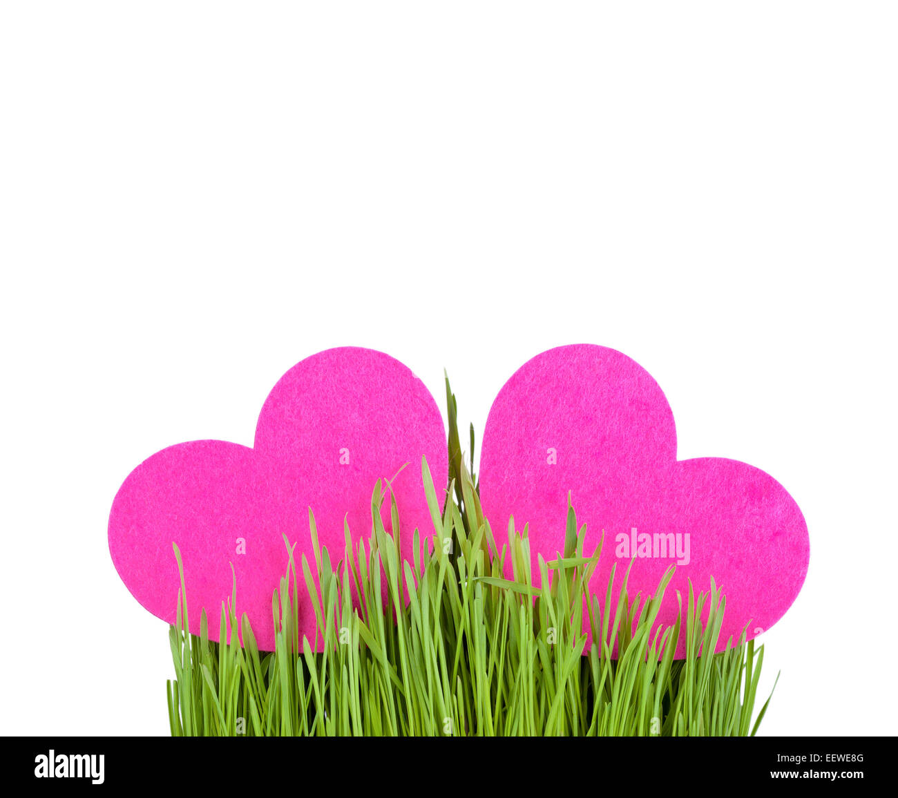 Love card decorated with heart on green grass isolated on white Stock ...