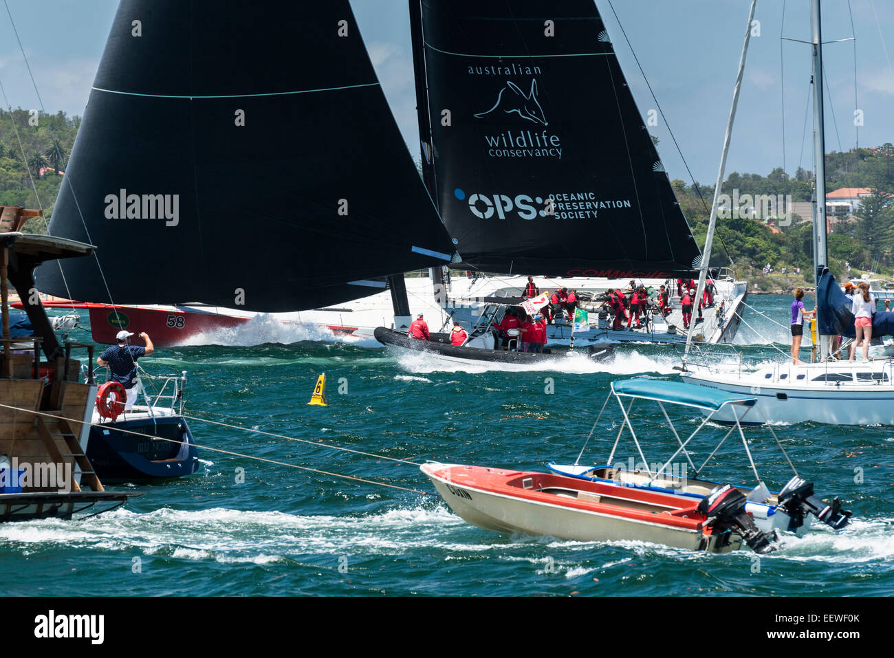 Leading yacht Comanche sails through Middle Harbour surrounded by motor ...