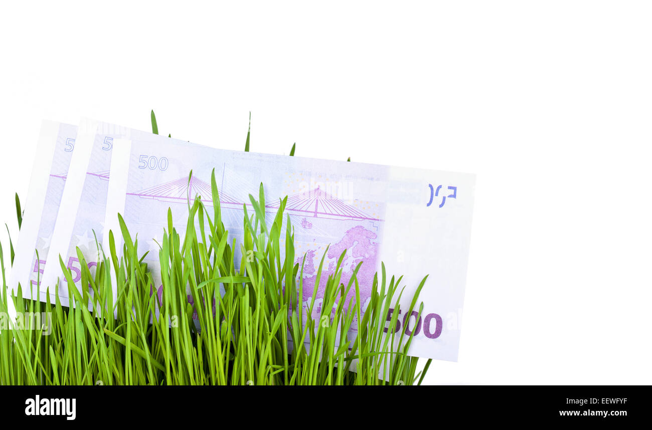 Growing Euro money cash in green grass, isolated on white Stock Photo ...