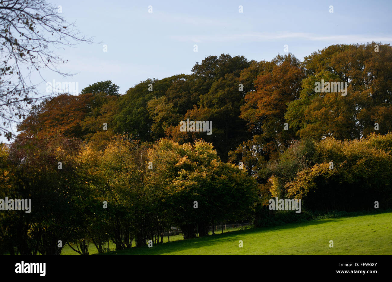 Pastoral scenes hi-res stock photography and images - Alamy