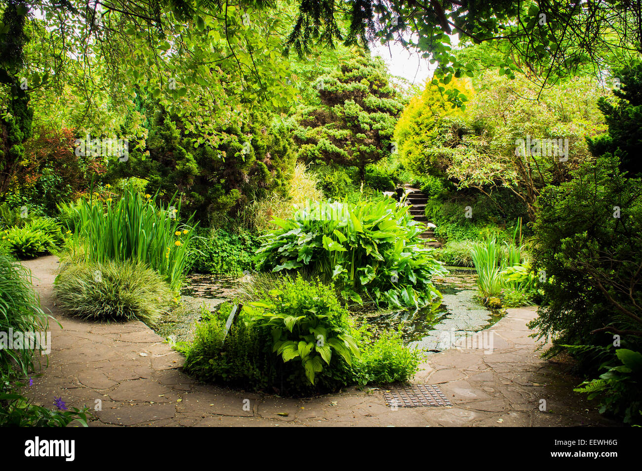 Highdown garden hi-res stock photography and images - Alamy