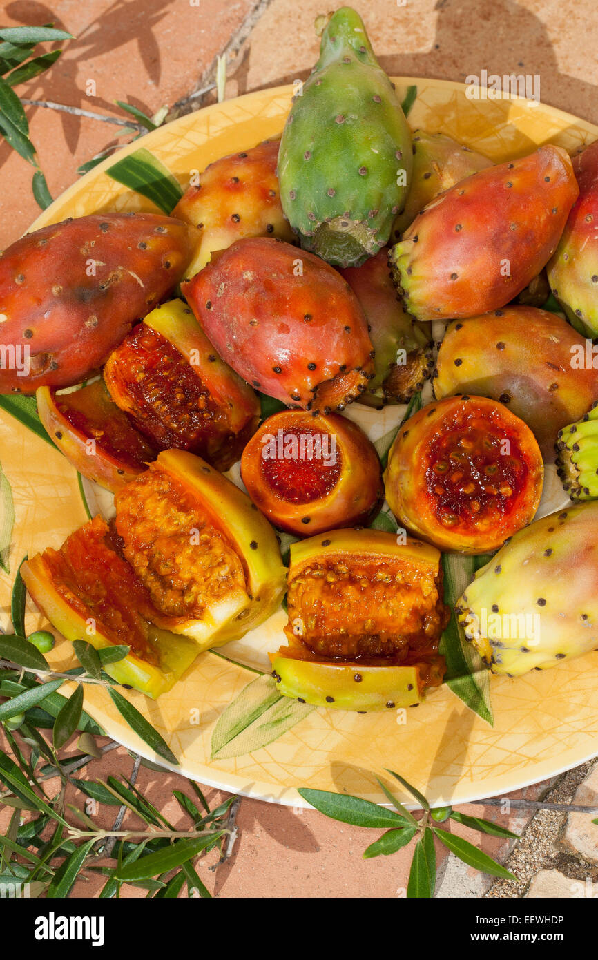 Indian fig opuntia, barbary fig, cactus pear, Prickley pear, Echter ...