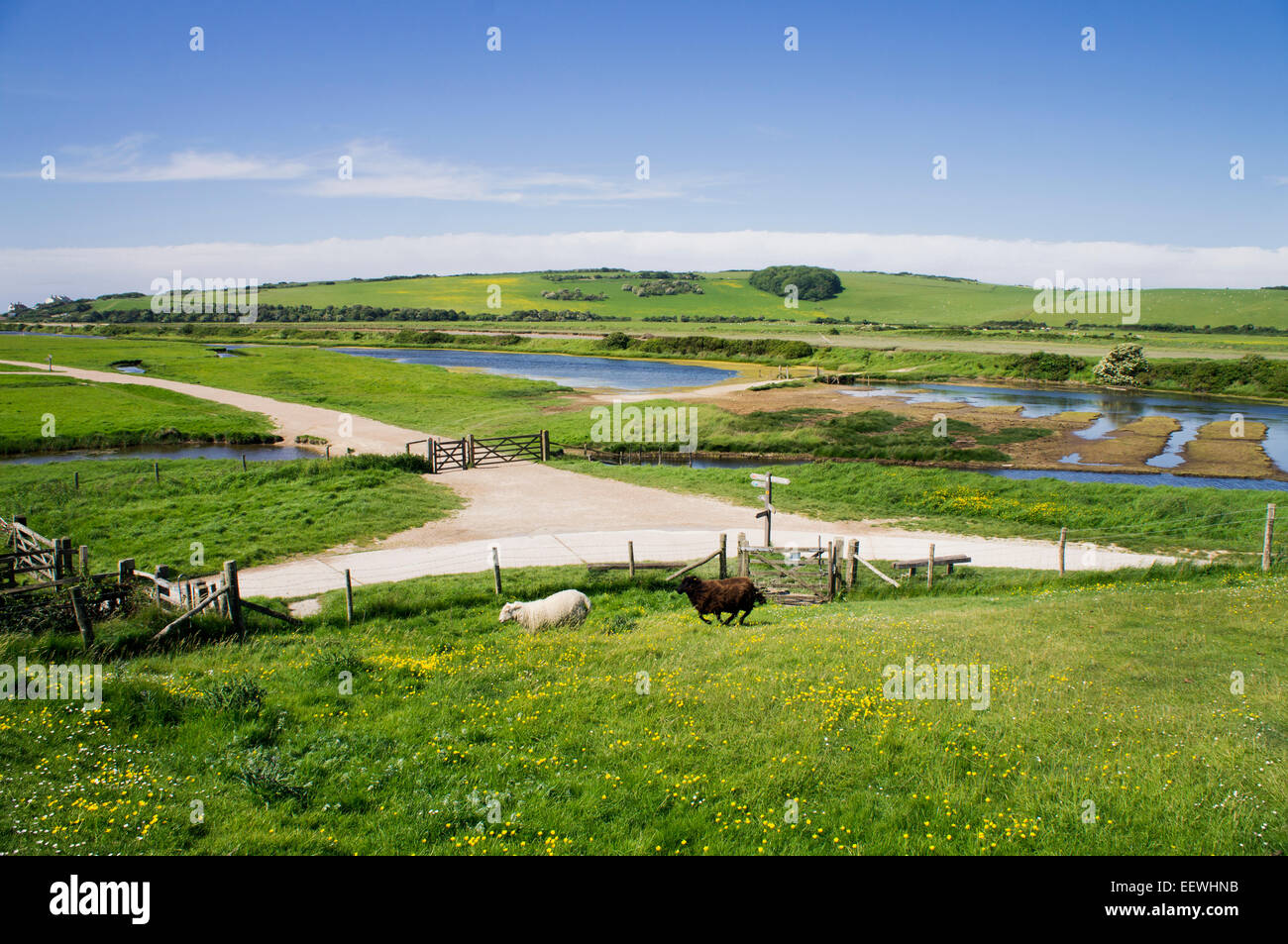 Cuckmere River valley, Seven Sisters Country Park Stock Photo - Alamy