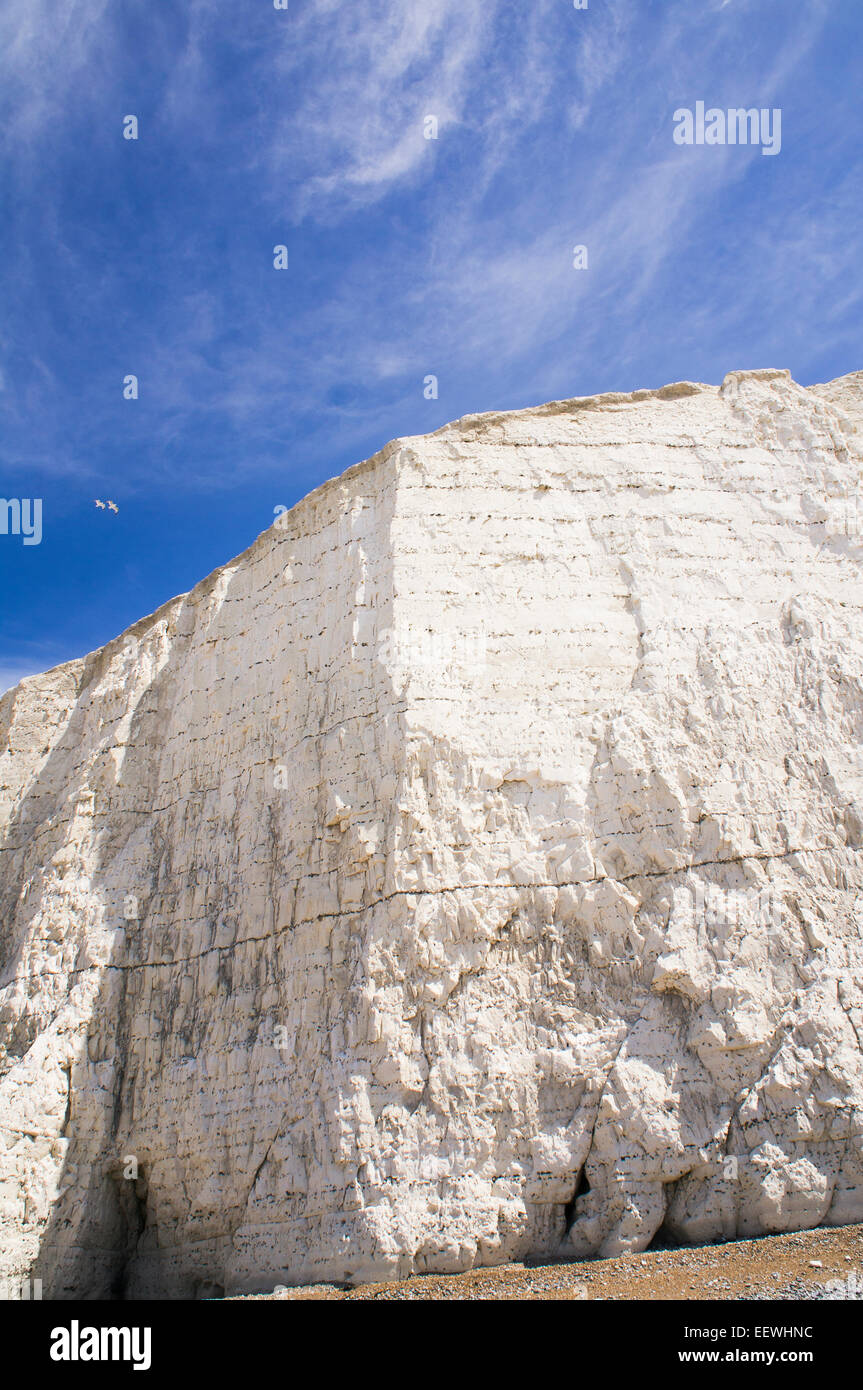 The Seven Sisters white chalk cliffs Stock Photo - Alamy