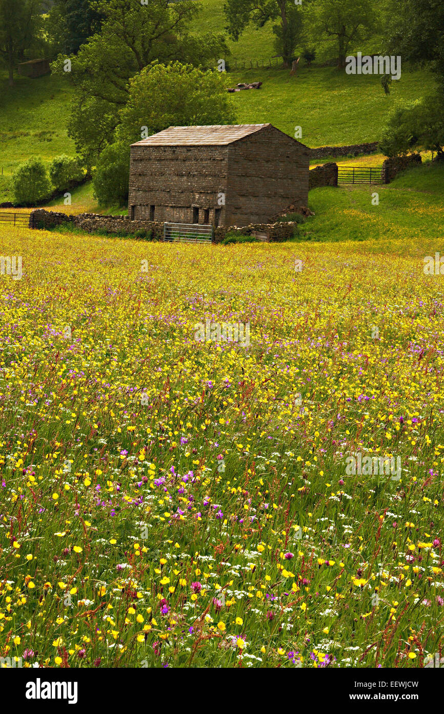 Traditional hay meadows hi-res stock photography and images - Alamy