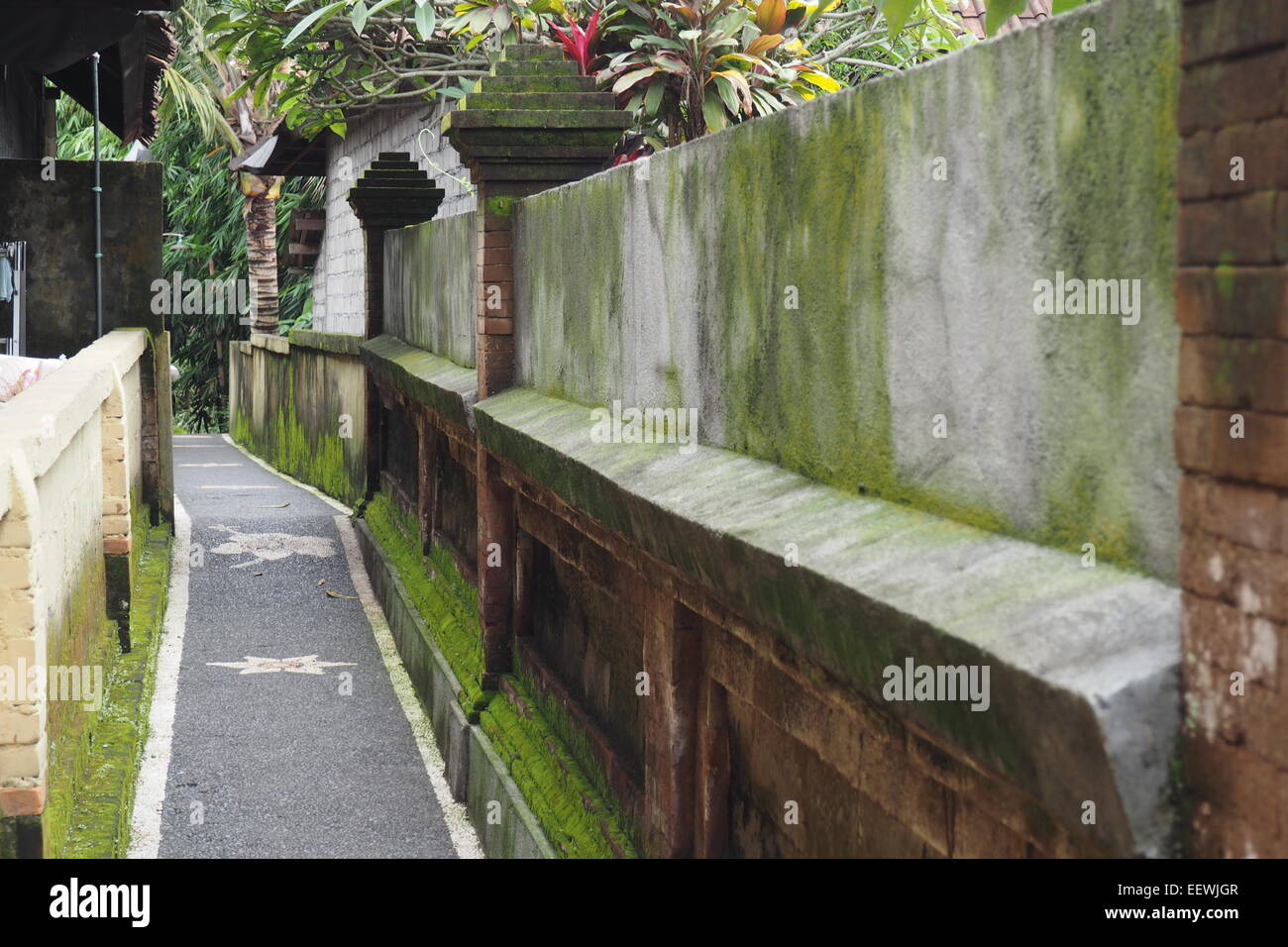 Narrow path between two walls in ubud, Bali Stock Photo - Alamy