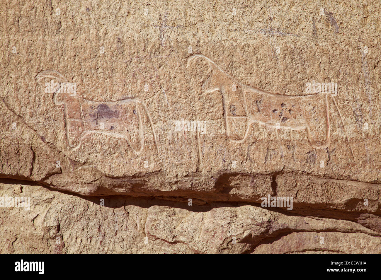 Jordan rock art hi-res stock photography and images - Alamy