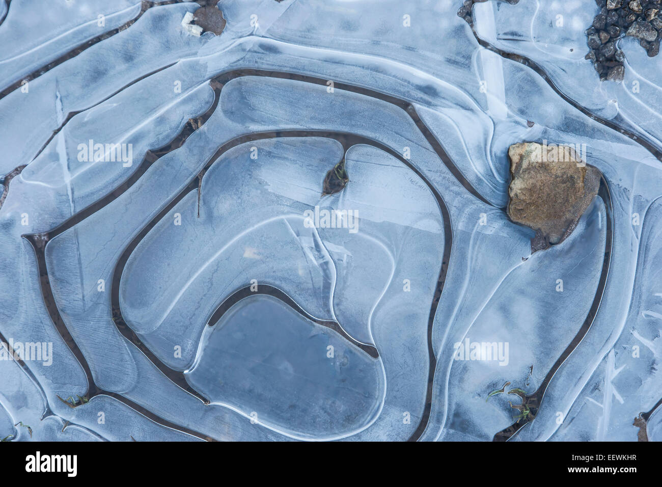 Frozen pool of water with intricate ice patterns and stone embedded ...