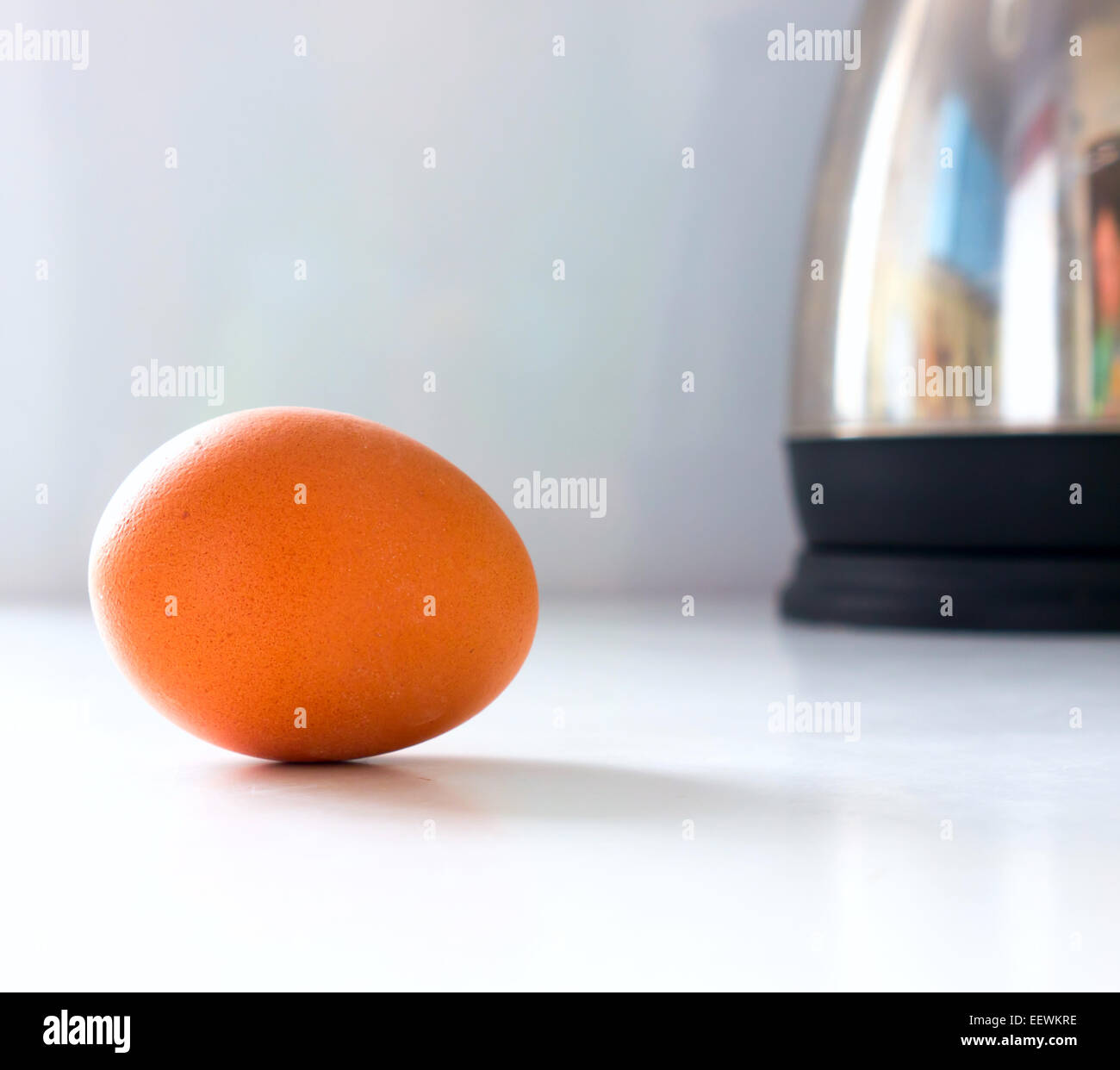 The chicken egg Stock Photo - Alamy