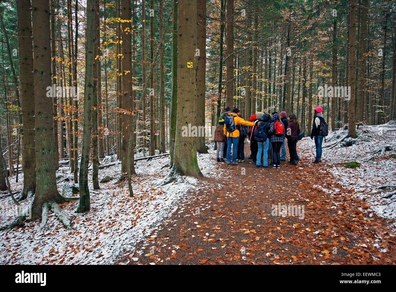 Bayerischer wald hiking hi-res stock photography and images - Alamy