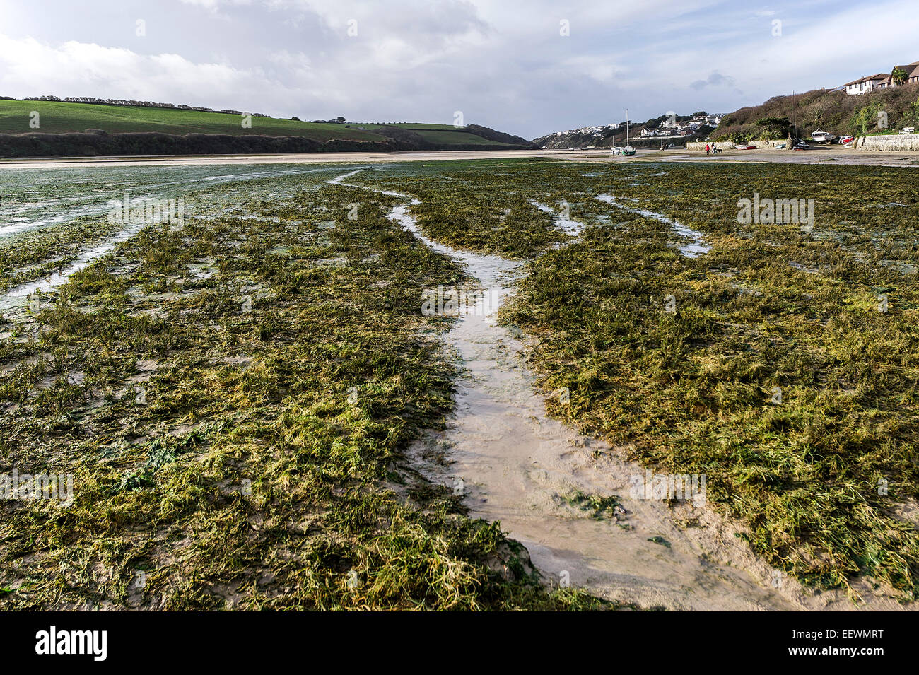 The Gannel Estuary in Newquay, Cornwall Stock Photo - Alamy