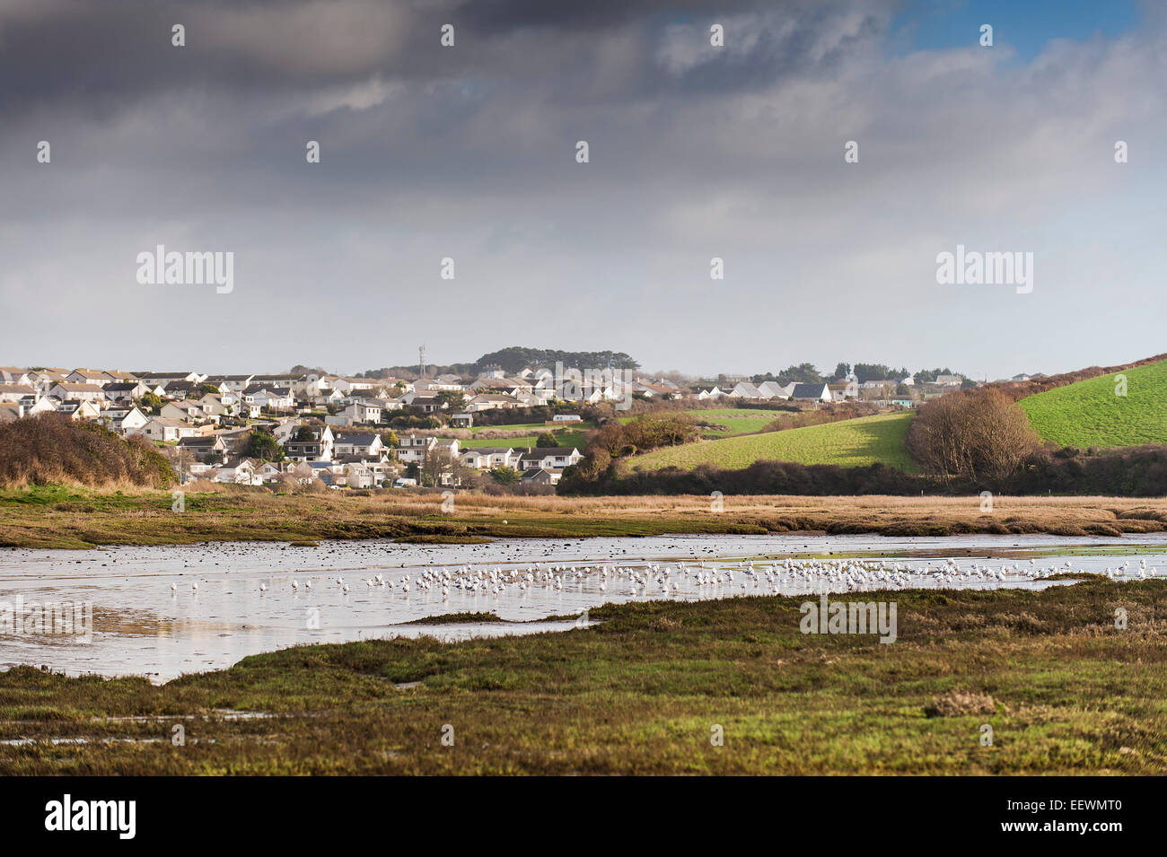 The Gannel Estuary in Newquay, Cornwall Stock Photo - Alamy