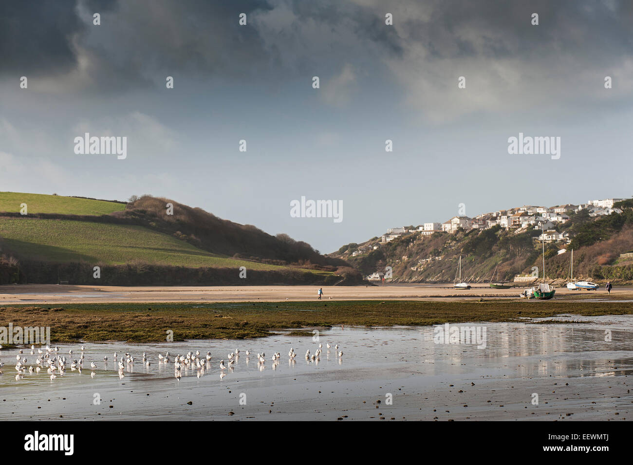 The Gannel Estuary in Newquay, Cornwall Stock Photo - Alamy