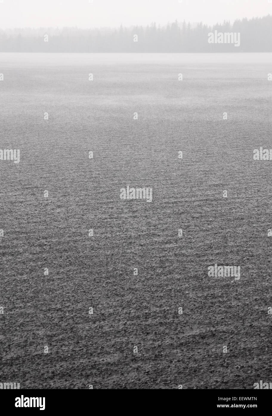 Heavy rain on lake surface Stock Photo - Alamy