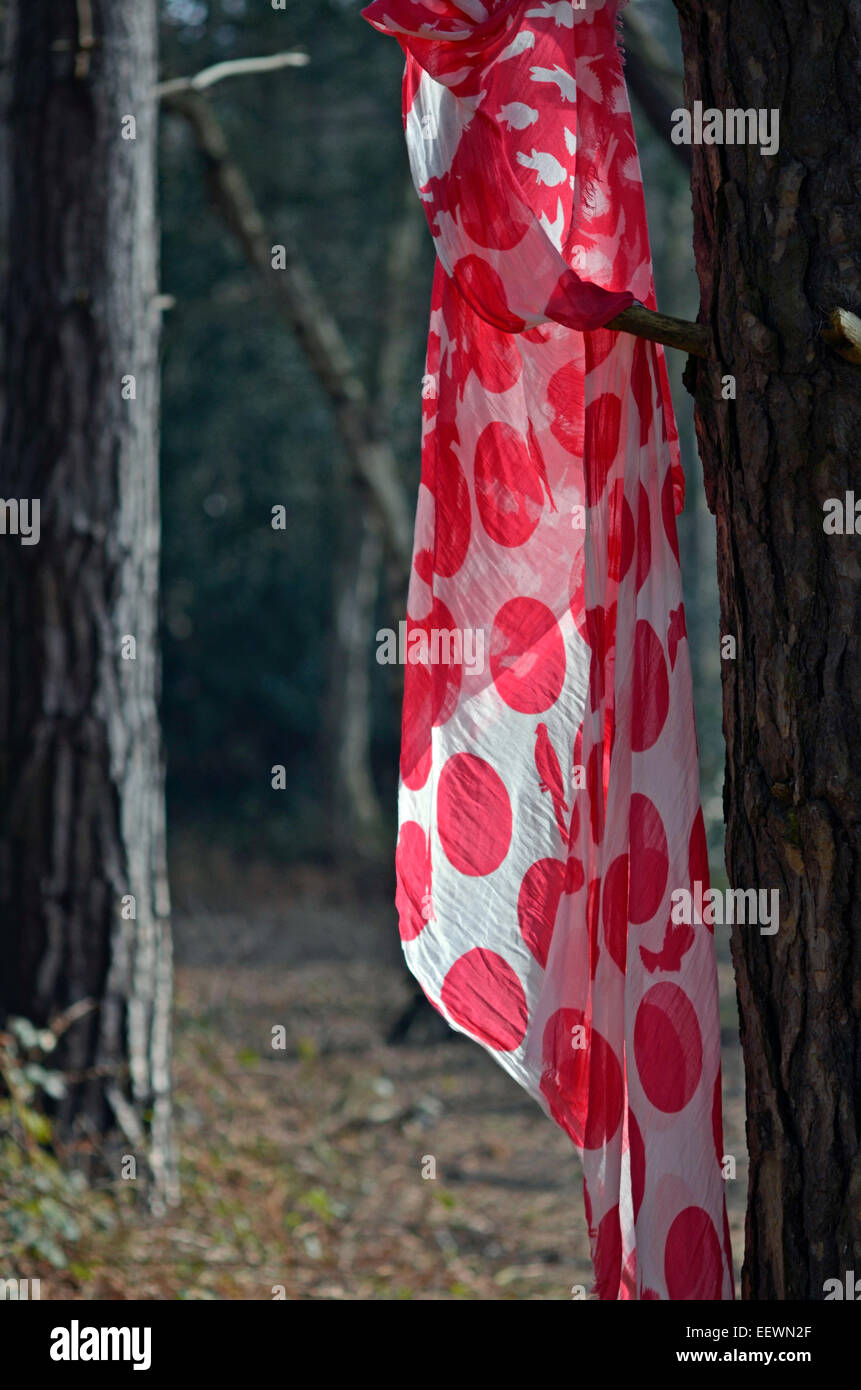 red scarf hanging on tree Stock Photo - Alamy