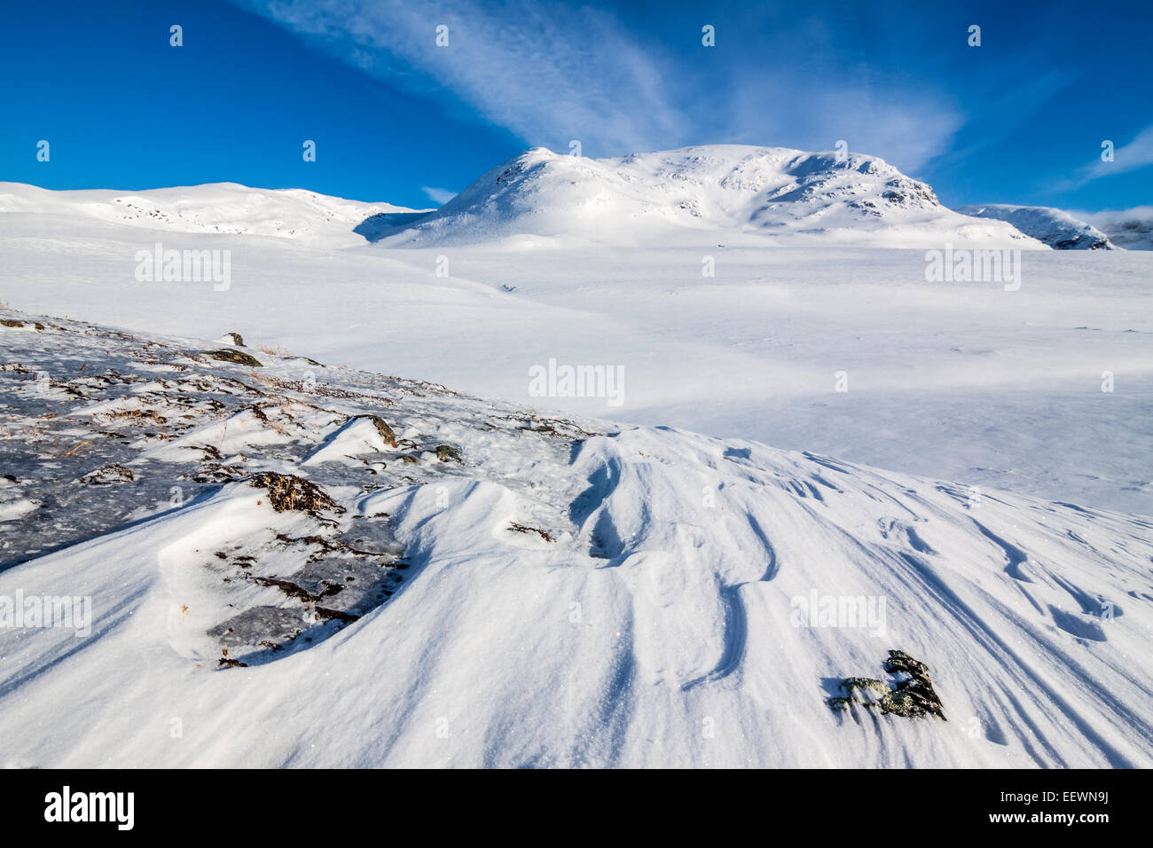 Northern winds hi-res stock photography and images - Alamy