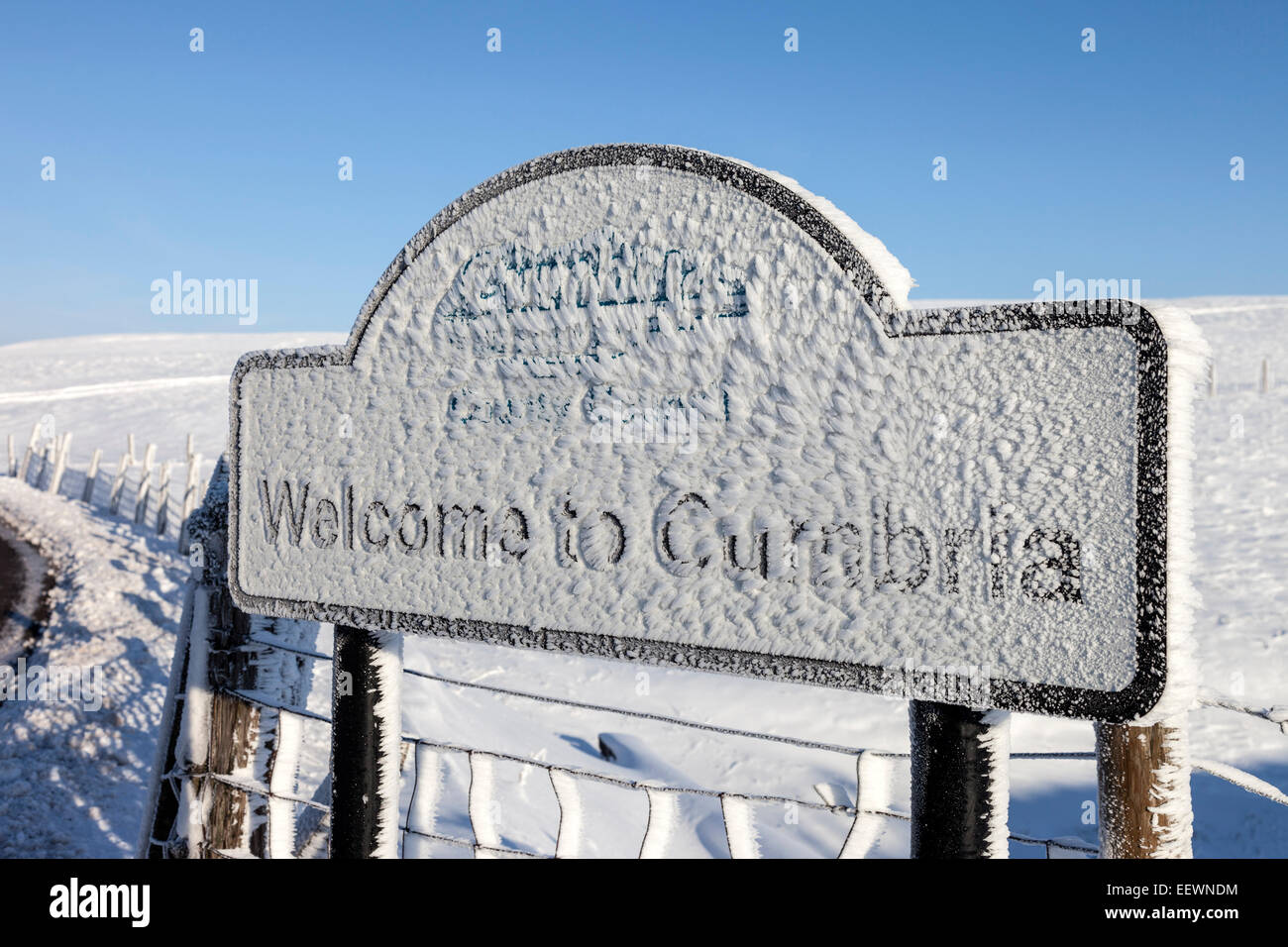 Yad moss hi-res stock photography and images - Alamy