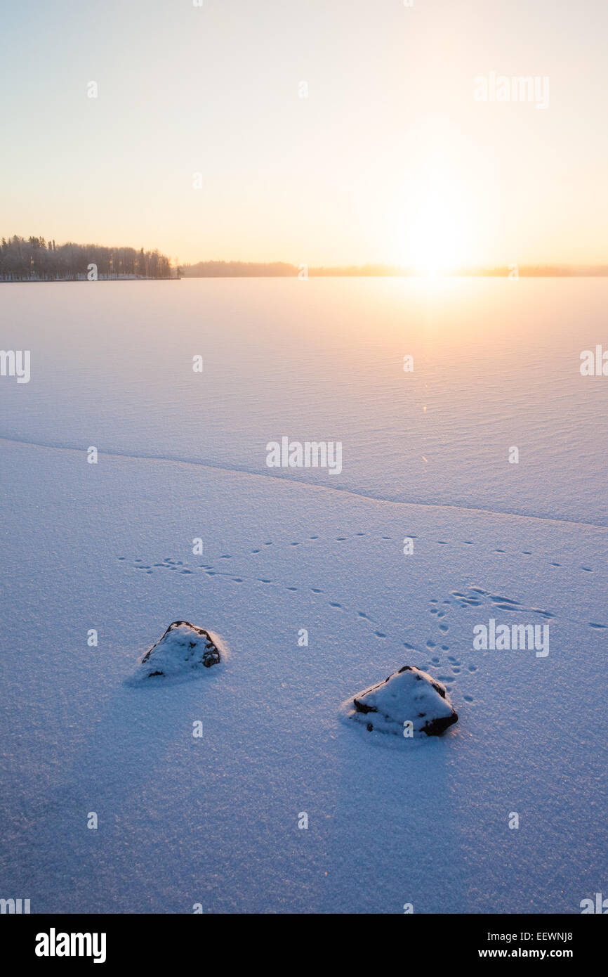 Serene winter morning view to frozen lake Stock Photo - Alamy