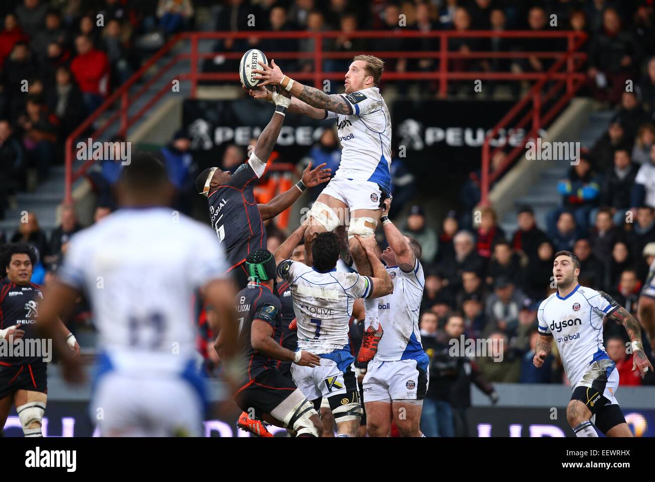 Dominic Day - 18.01.2015 - Toulouse/Bath - European Champions Cup.Photo ...