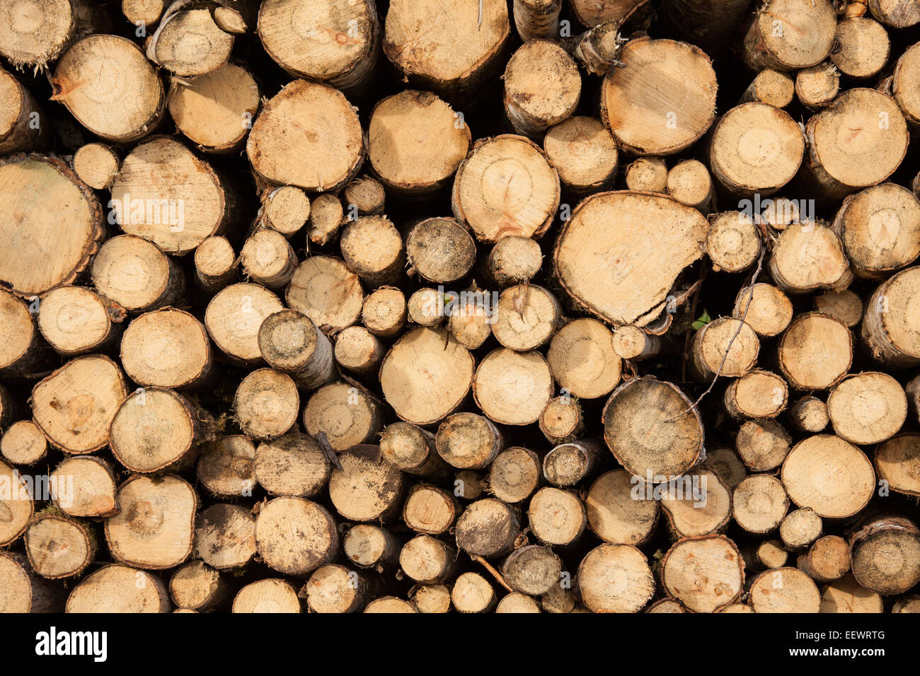 Pile of chopped wood Stock Photo - Alamy