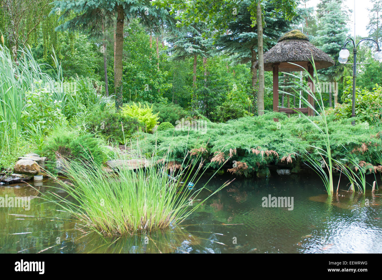 Beautiful park with trees and bushes. A small pond Stock Photo - Alamy