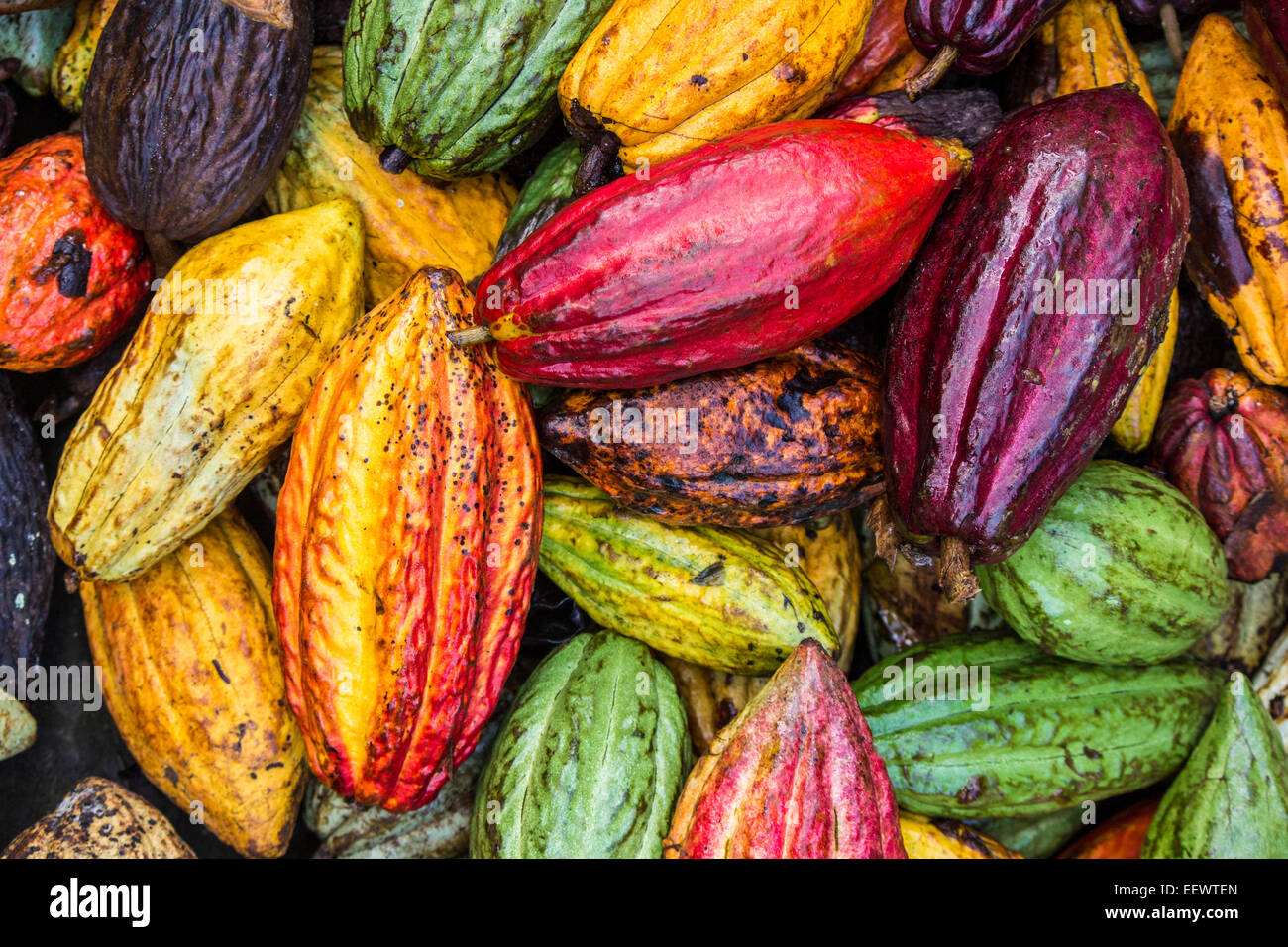 Violet fruits hi-res stock photography and images - Alamy