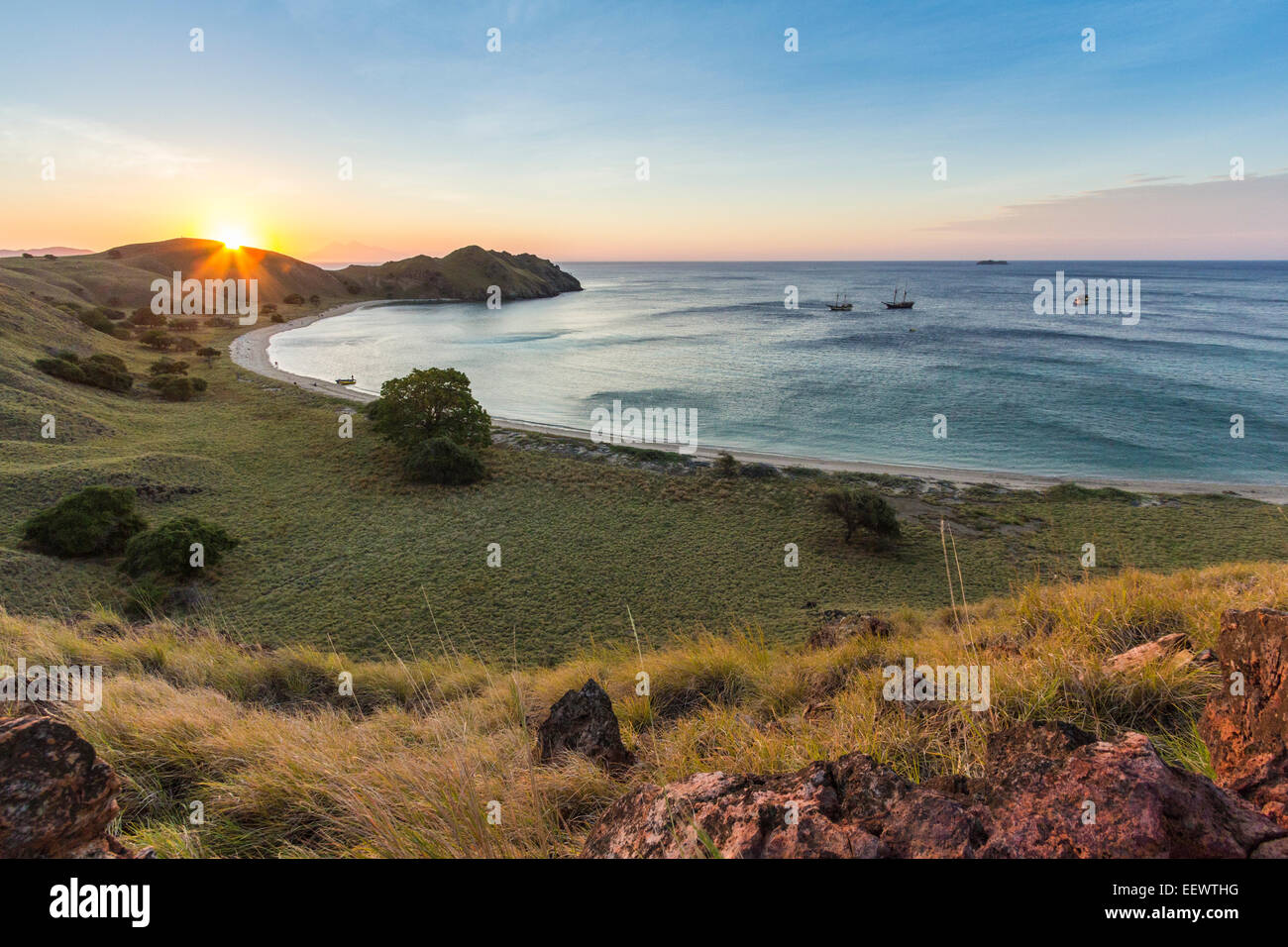 Komodo island hi-res stock photography and images - Alamy
