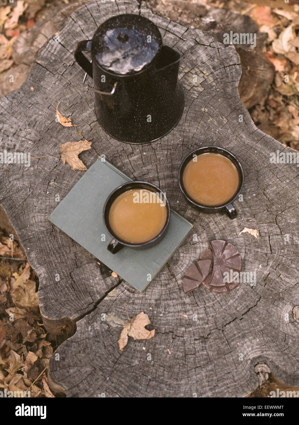 Two mugs of coffee and a coffee pot on a tree trunk Stock Photo - Alamy