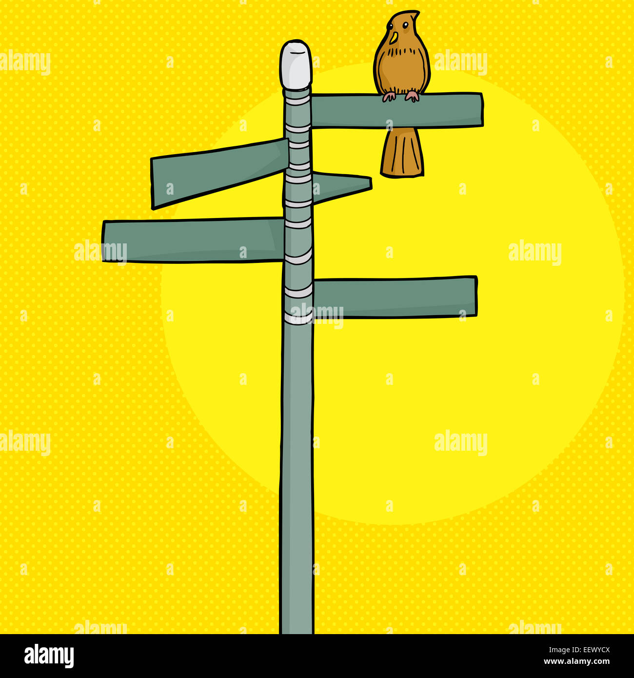 Brown bird perched on blank street signs Stock Photo - Alamy