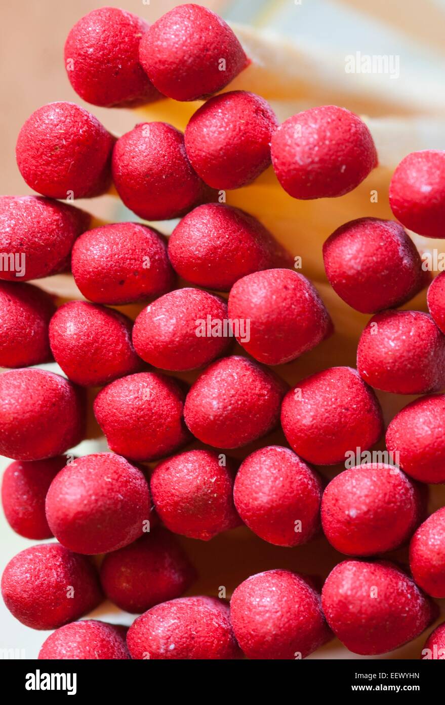 Group wood hi-res stock photography and images - Alamy