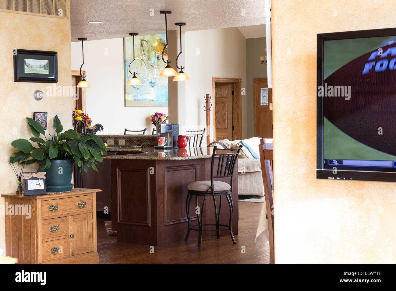 Showcase luxury modern residential kitchen, USA Stock Photo - Alamy