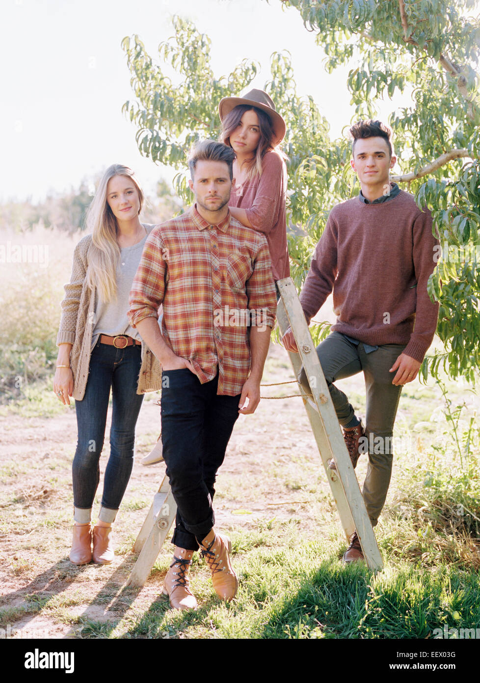 Ladder tree hi-res stock photography and images - Alamy