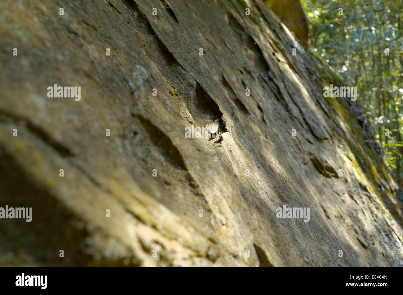 Natural rock face background Stock Photo - Alamy