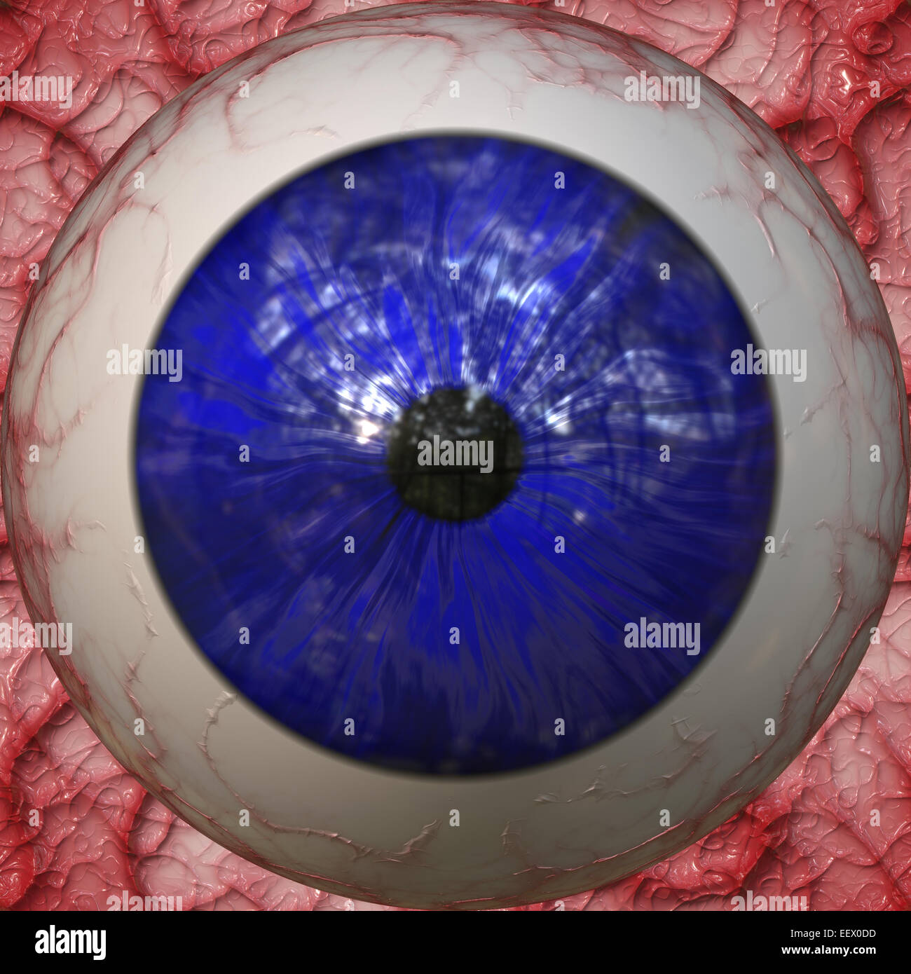 Creepy and scary hi-res stock photography and images - Alamy