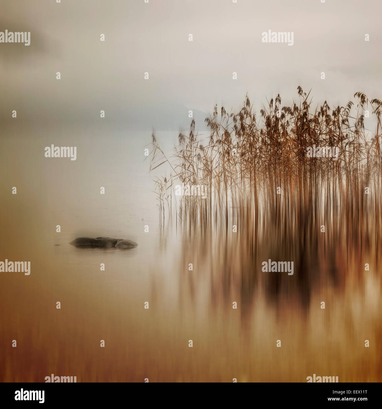 Lake with still water hi-res stock photography and images - Alamy