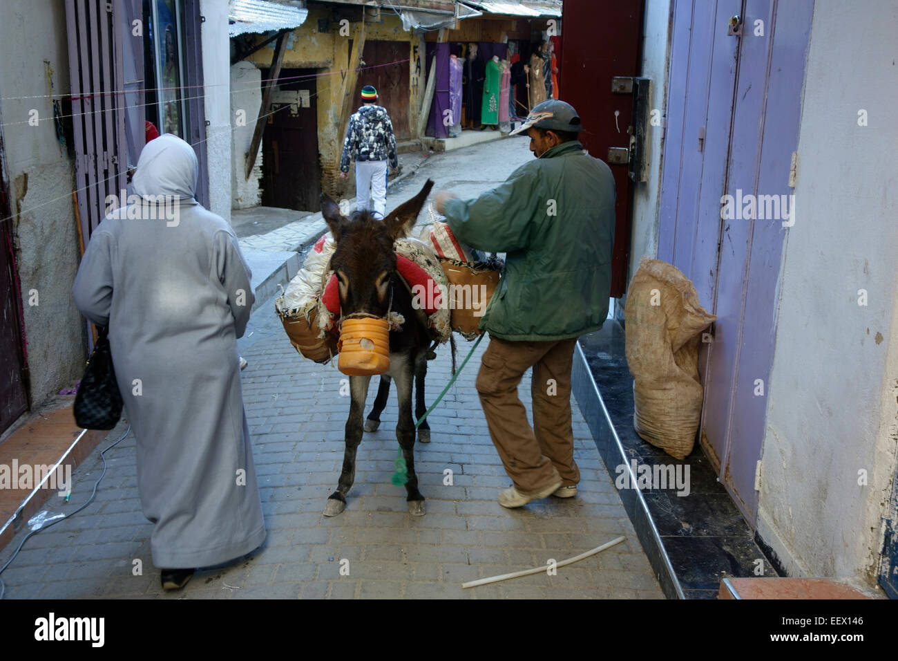 Loaded donkey in the narrow street in Medina, Fez, Morocco Stock Photo ...